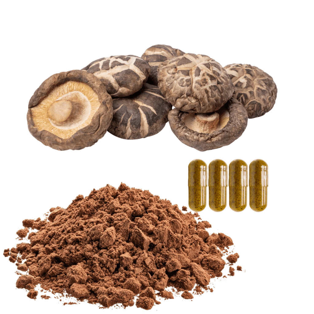 SHIITAKE MUSHROOM EXTRACT
